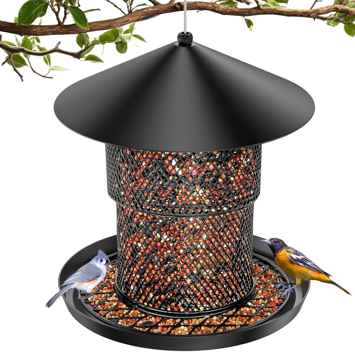 HAVENATURE Bird Feeder for Outdoor Hanging, No Mess No Spill ...