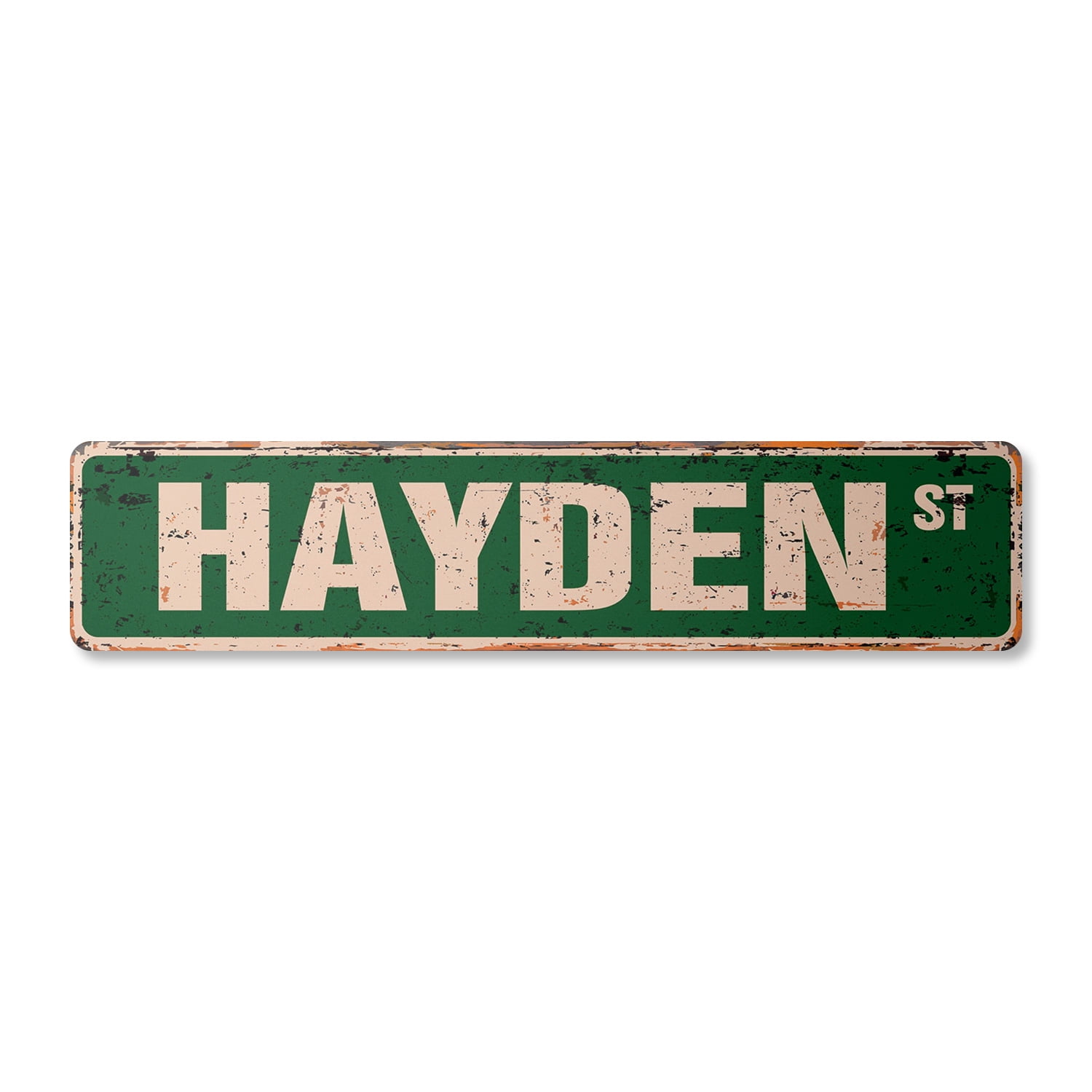 HAYDEN Vintage Plastic Street Sign Childrens Name Room Sign | Indoor ...
