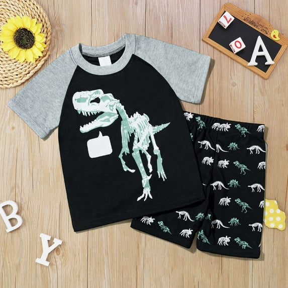 HAYIMI Child Toddler Kids Dinosaur Print Two Piece Outfit Sets Boys O ...