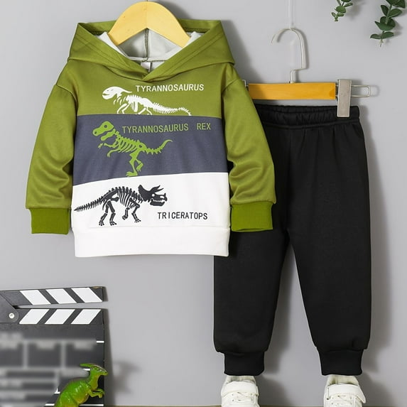 HAYIMI Kids Boys Hooded Dinosaur Print Long Sleeve Tops And Pants Two ...