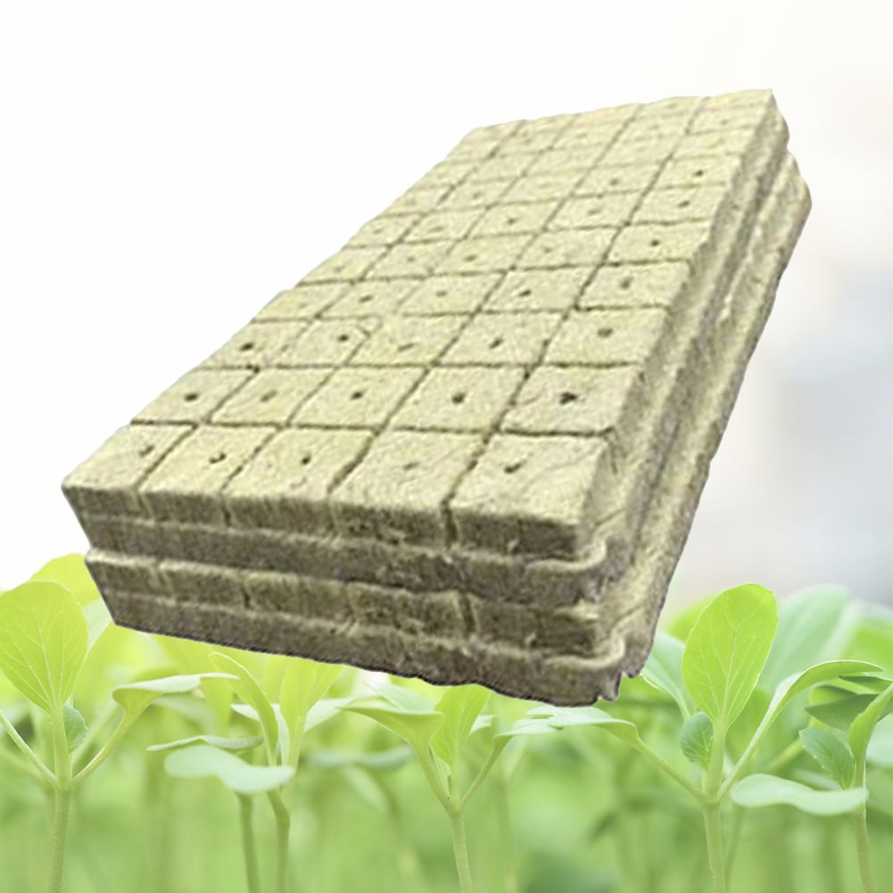 HBASD 100pcs Stonewool Starter Grow Cubes for Cuttings, Cloning, Plant ...