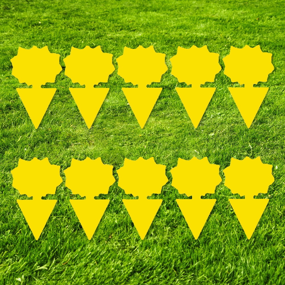 HBASD 10pcs Fruit Fly Traps Fungus Gnat Traps Dual-Sided Yellow Sticky ...