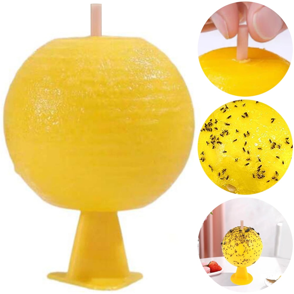 HBASD Citrus Shaped Fruit Fly Traps, Insects Traps Ball, Sticky Traps ...