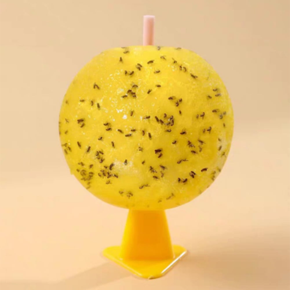 HBASD Citrus Shaped Sticky Fruit Fly Trap Ball for Indoor Outdoor House ...
