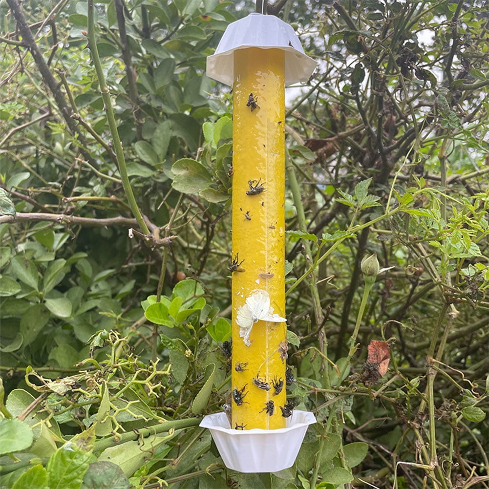 "HBASD Hanging Fly Traps, Disposable Sticky Gnat Catchers for Indoors ...