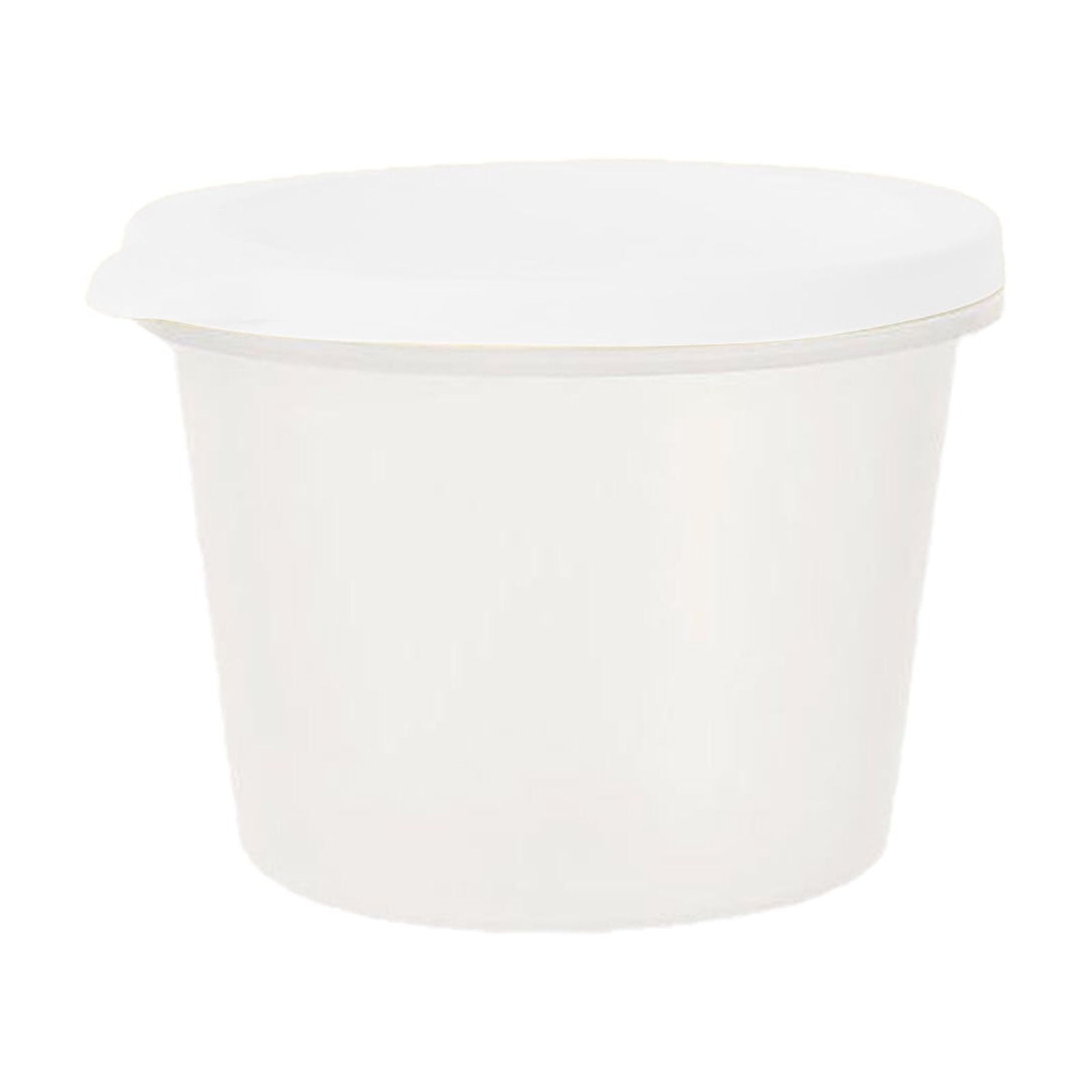 HBBKVI 4x3x3in Plastic Fruit Box Fruit Box Portable Takeout Lunch Box ...