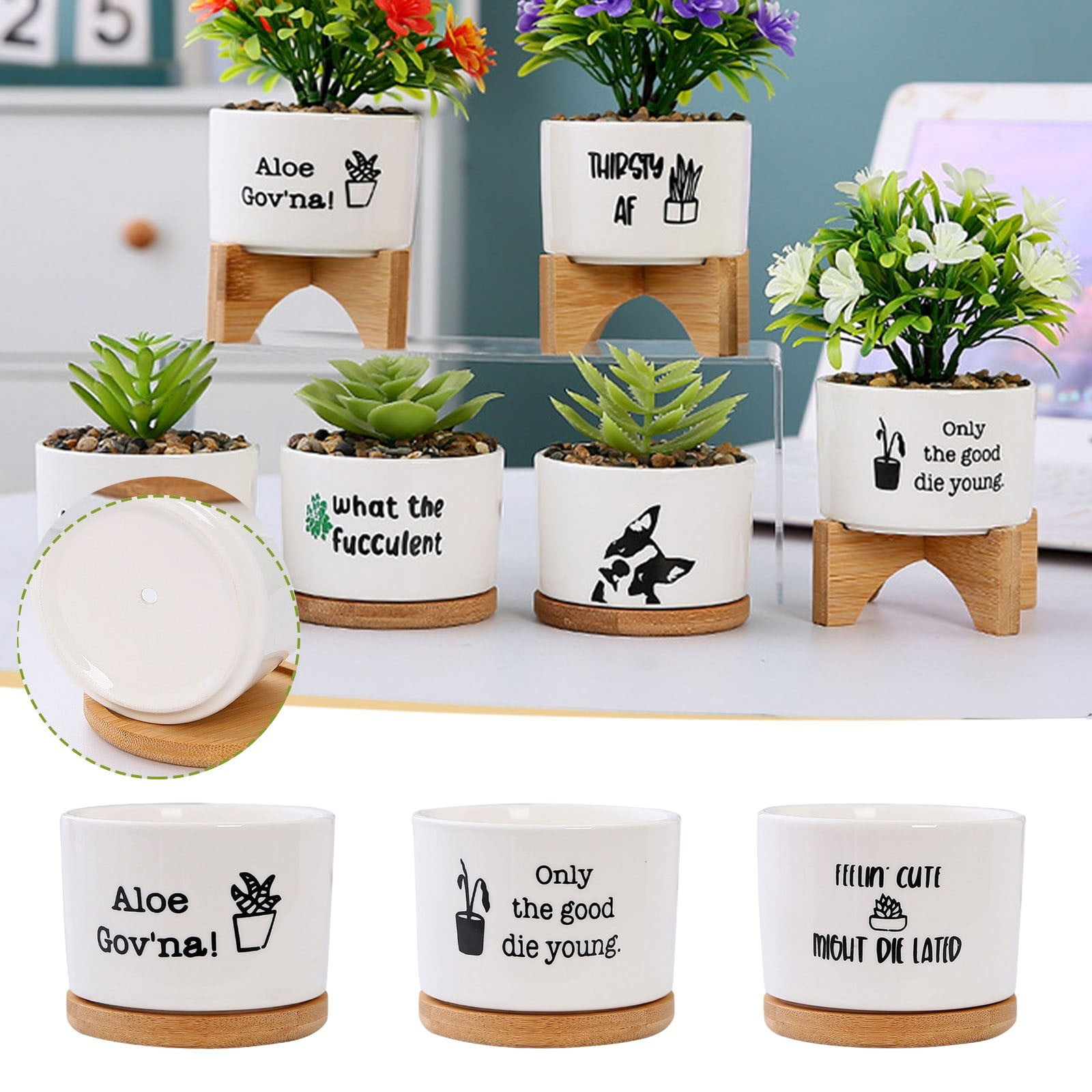 HBBKVI Funny Unique Succulent Pots Ceramic Fleshy Flowerpot Tray Indoor ...