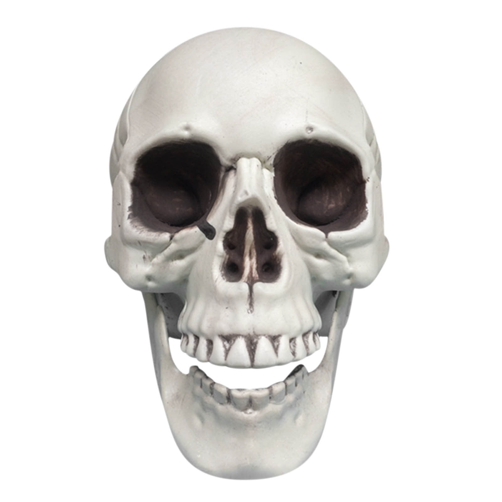 HBBKVI Halloween Decorations, Halloween Skeletons Plastic Realistic ...