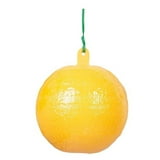 HBBKVI Reusable Fruit Fly Trap with Station Drosophila Trap Trap for ...