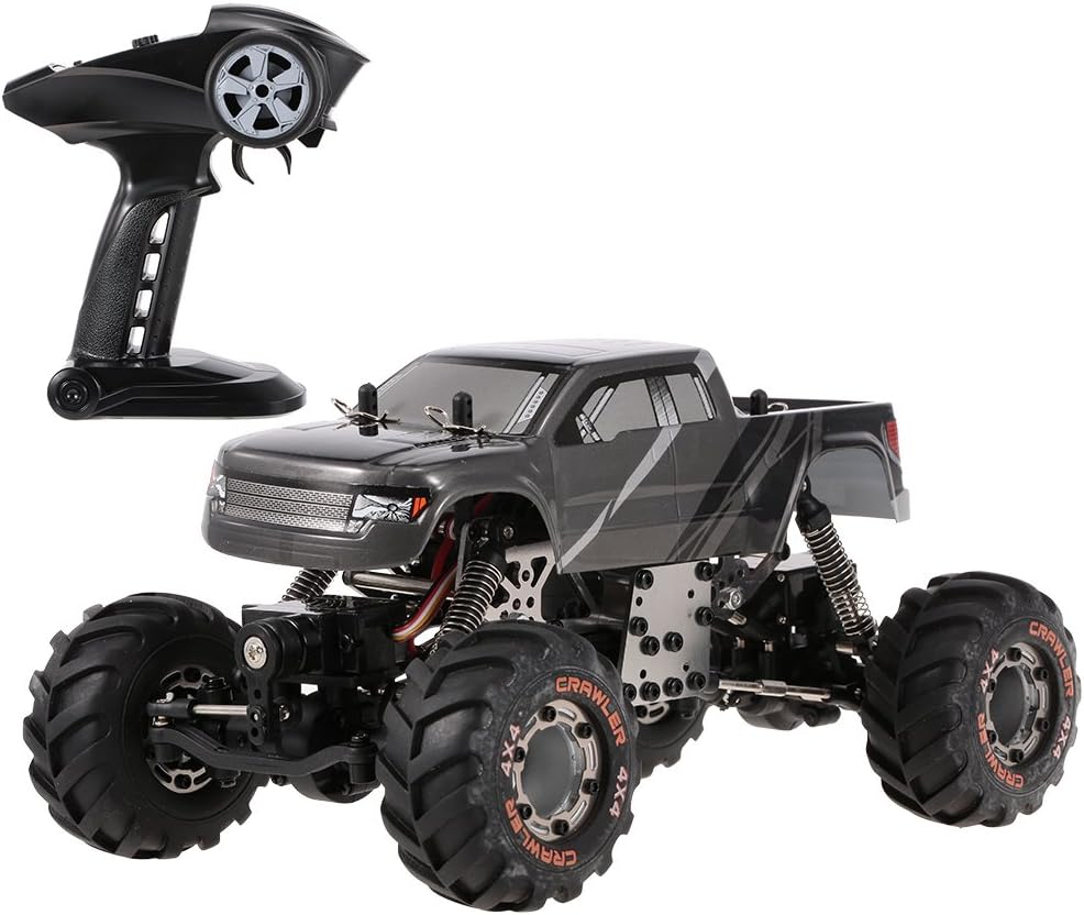 HBX 2098B RC Car for Kids and Adults, 1/24 Scale 2.4GHz Remote Control ...