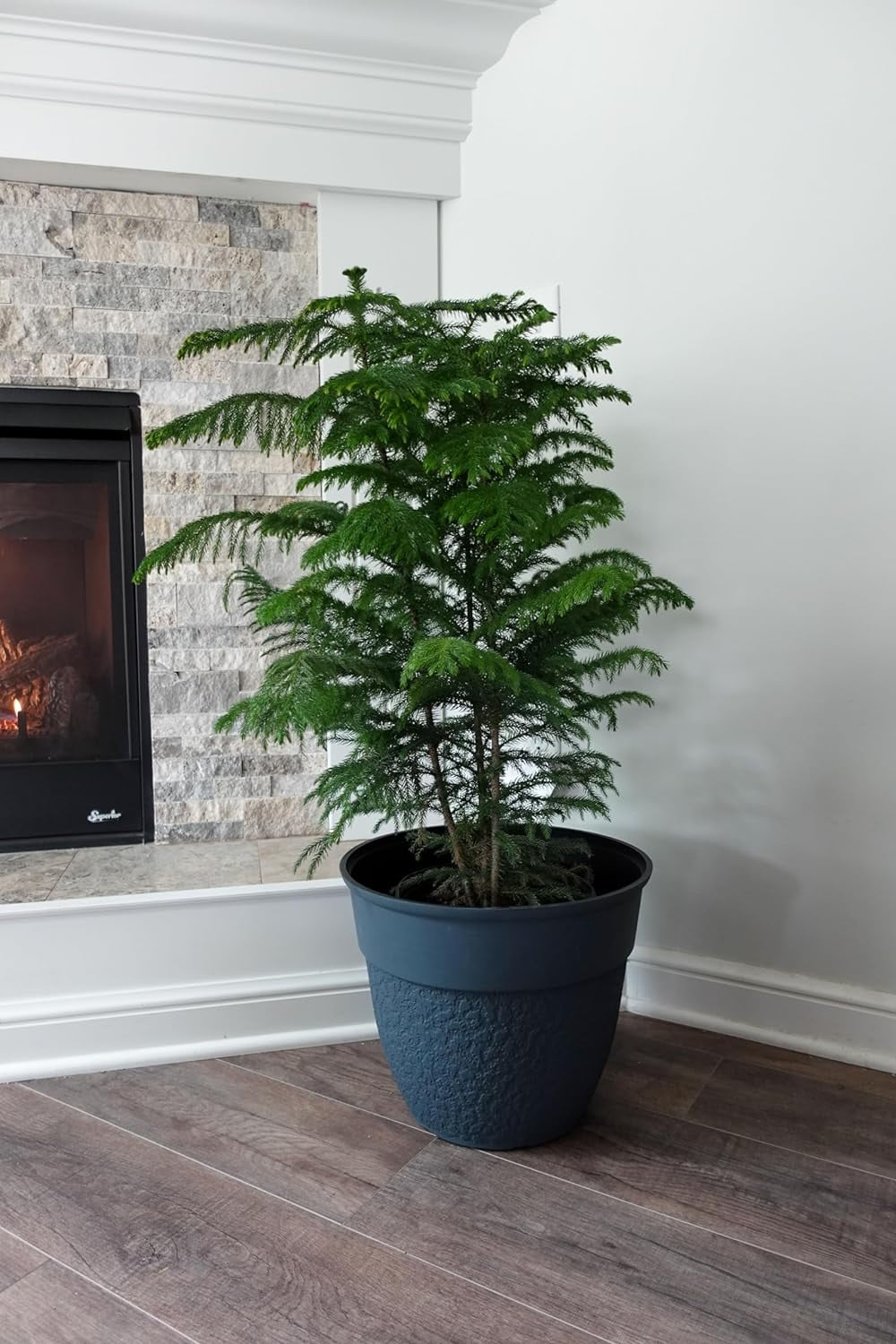 The HC Companies 16 Inch Brookhaven Decorative Round Planter ...