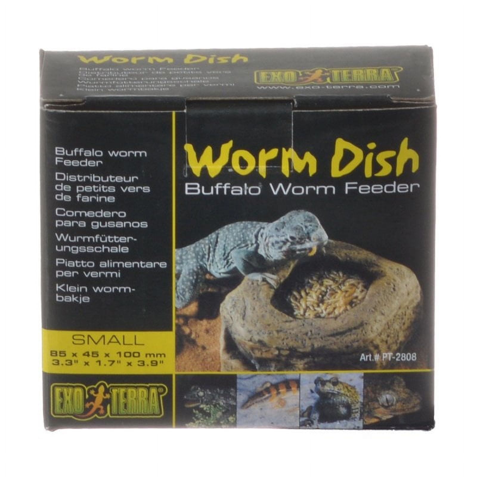 Buffalo Worm Exo Terra Worm Dish - Walmart.com