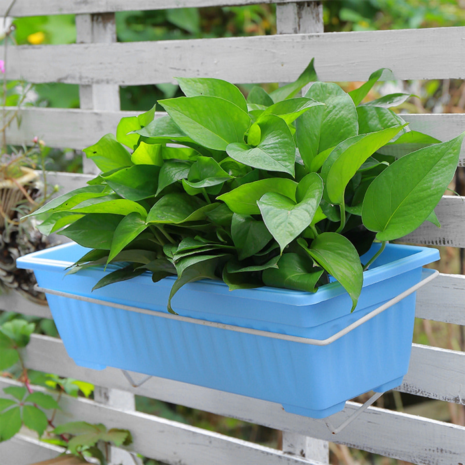 HCJKDU Window Box Planter, Rectangle Flower Pots with Drainage Holes ...