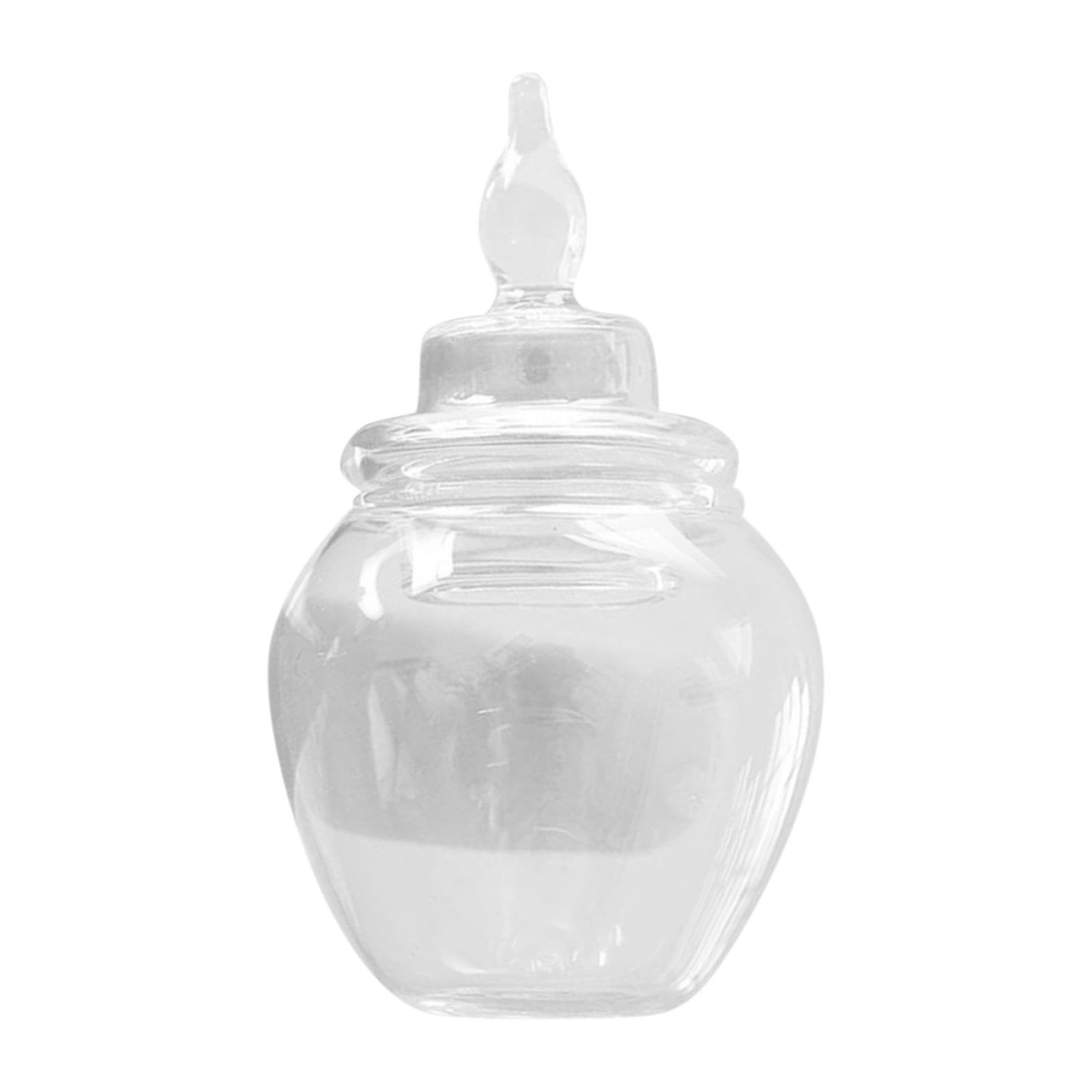 HCTSHG Exquisitely Detailed Miniature Jars, Perfect for Kitchens ...