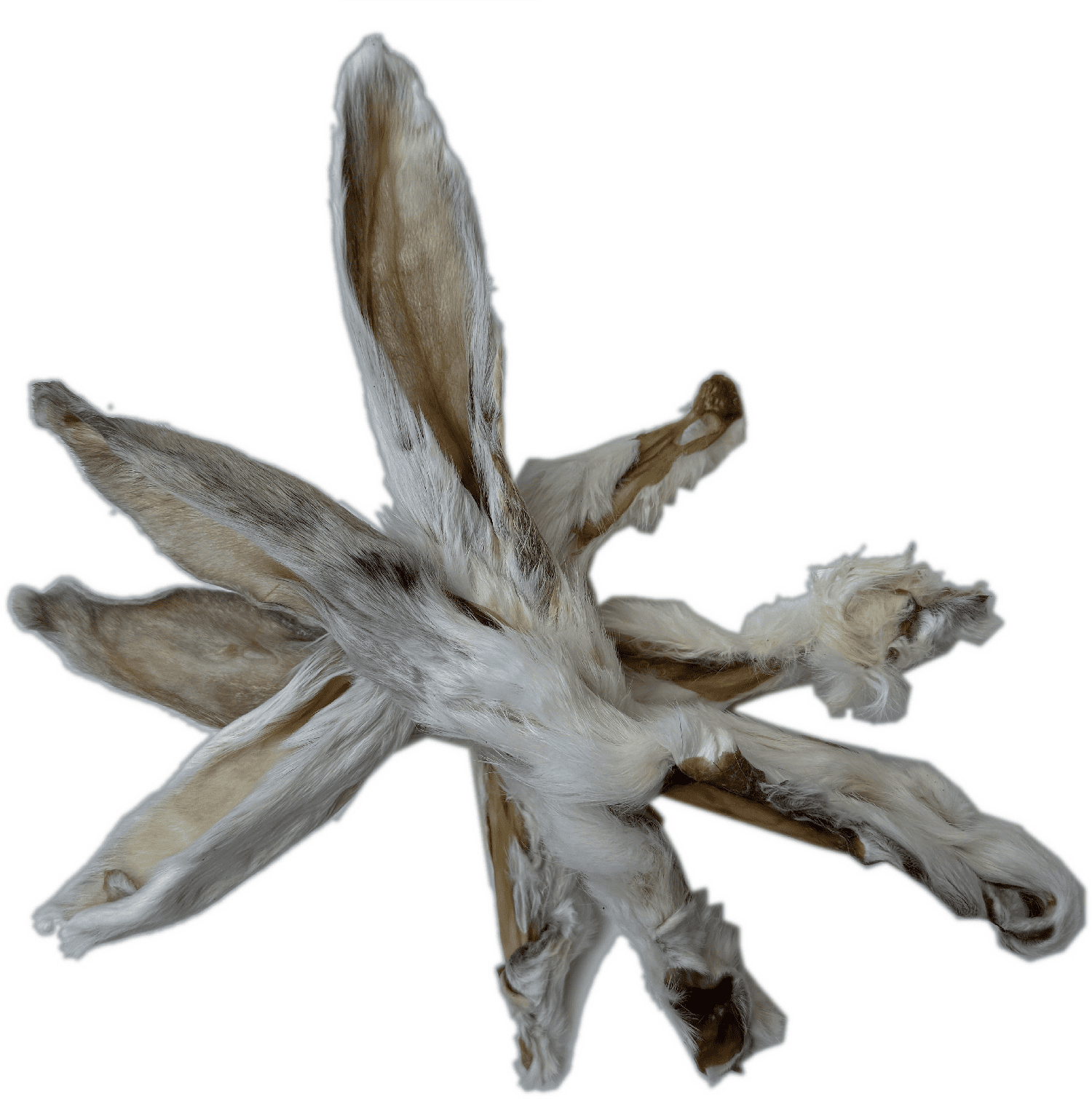 HDP Rabbit Furry Hair Ears Packs:Pack of 100 - Walmart.com