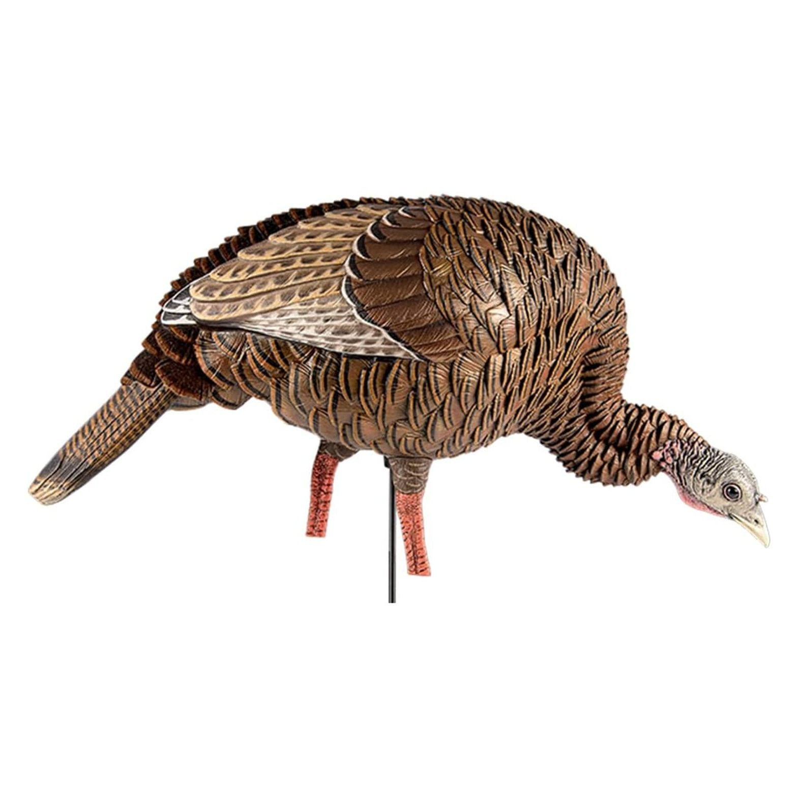 HDR Feeding Hen Turkey Decoy | Durable Realistic Lifelike Standing ...