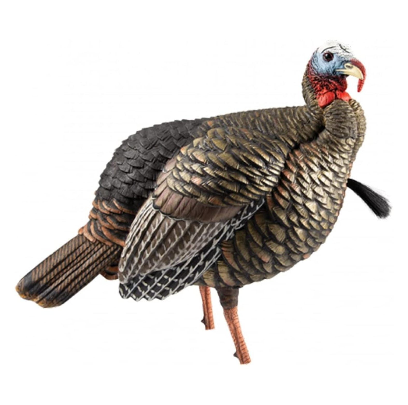 HDR Jake Turkey Decoy | Rugged Durable Realistic Lifelike Quarter-Strut ...