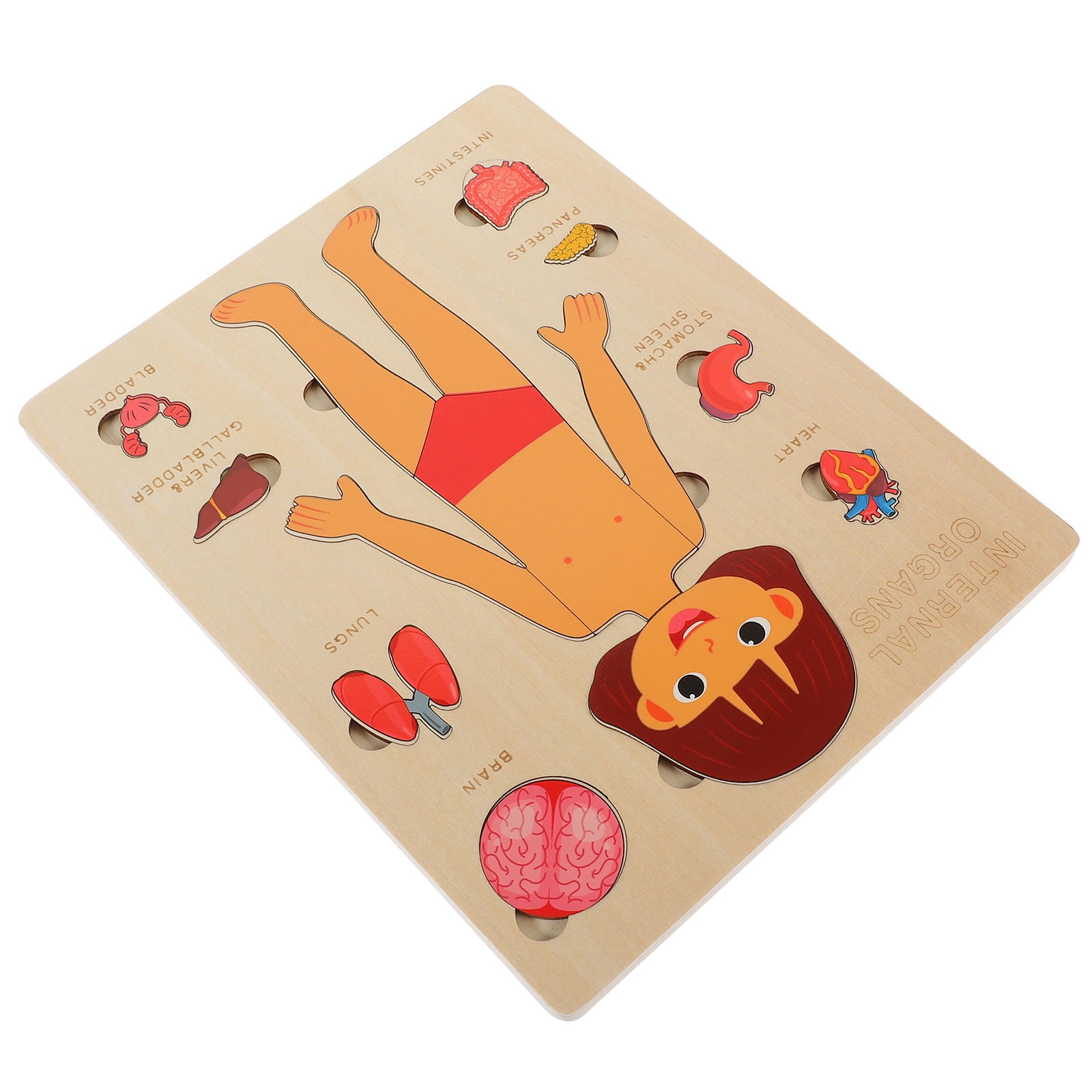 HEALEEP 1 Set Educational Organs Puzzle Toy Body Organs Awareness ...