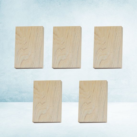HEALEEP 5Pcs Wood Blocks for Craft for Diy Projects and Decoration ...