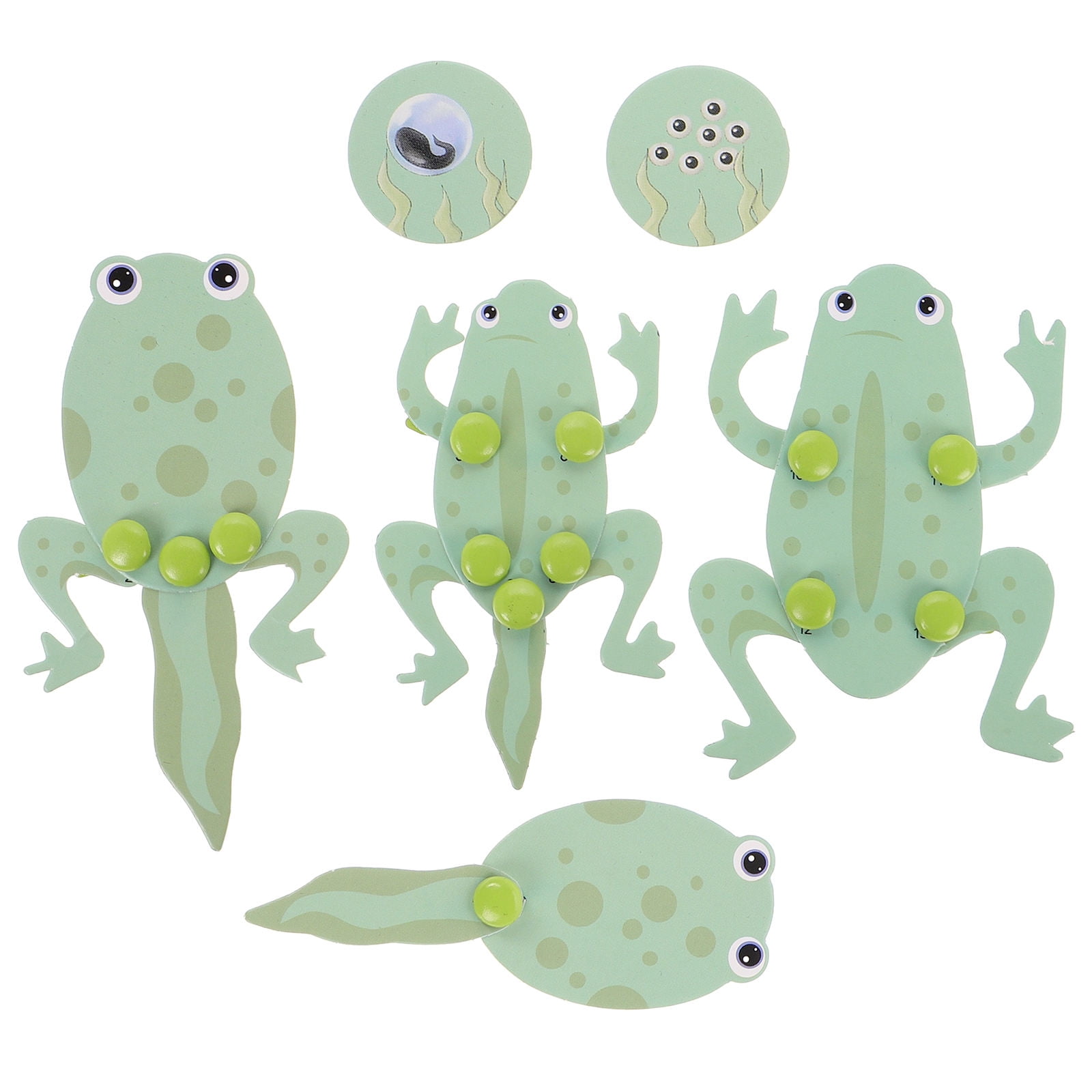 Tadpole Kit