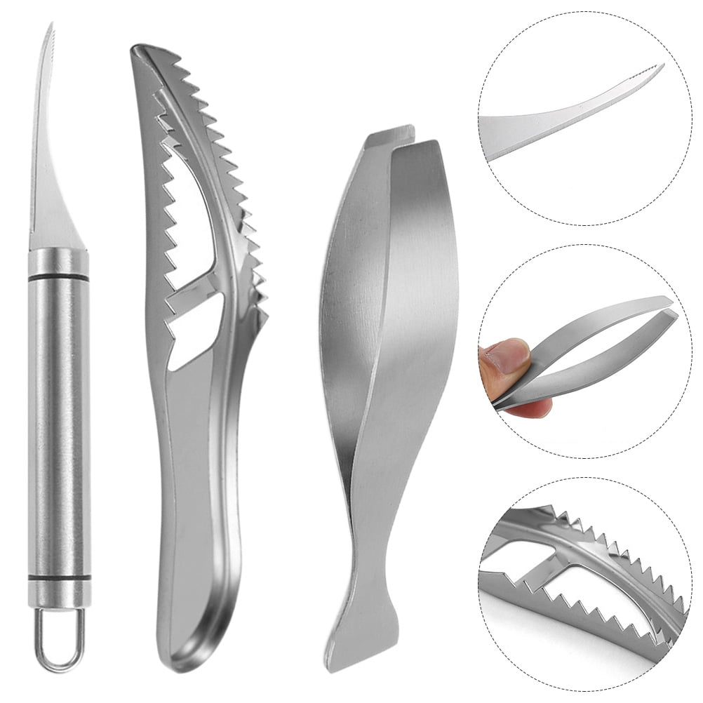 HEANUJJ 3Pieces Stainless Steel Fish Scales Remover for Home Cooks ...