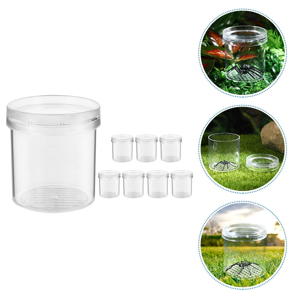 HEANUJJ Childrens Insect Observer Magnification Box Simple Design 8pcs ...