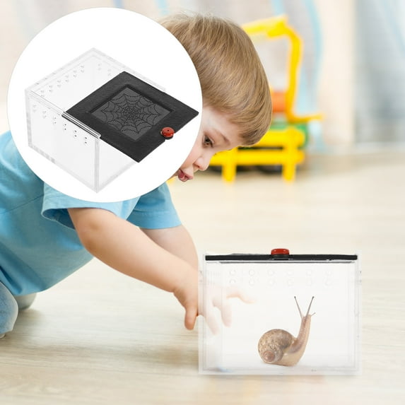 HEANUJJ Clear Acrylic Reptile Breeding Box with Vent Holes for Spiders ...