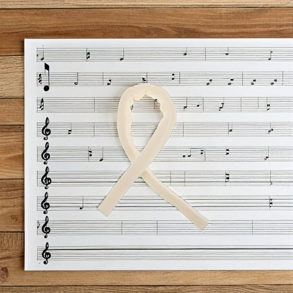 HEANUJJ Durable Piano Felt Replacement Strip Wool Felt for Sound ...