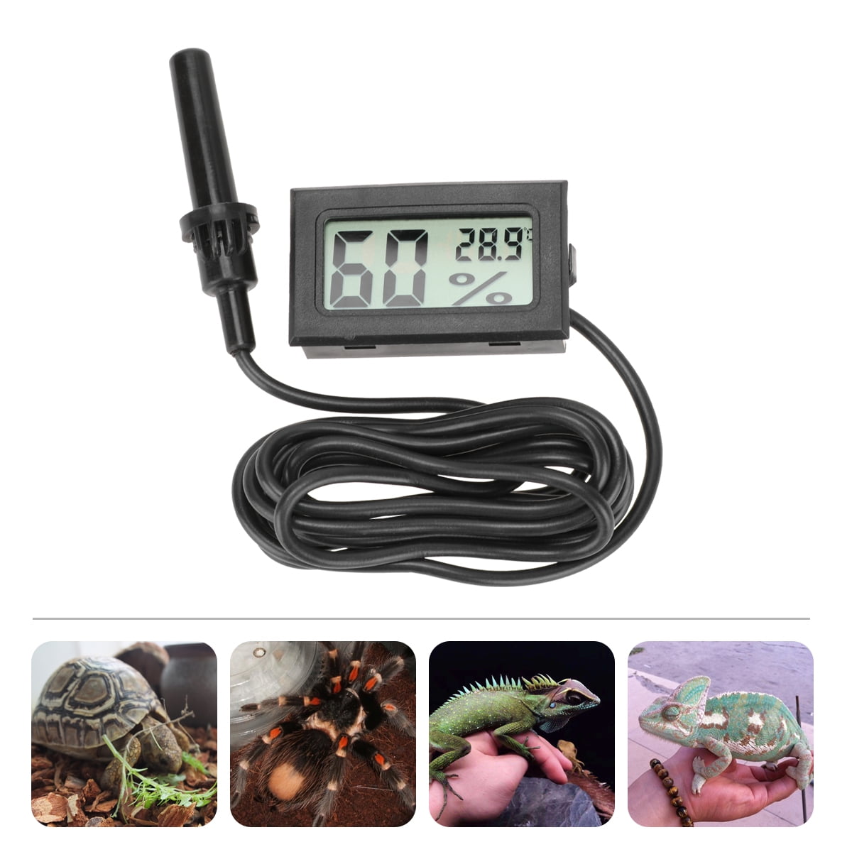 HEATSHAKING 5Pcs Mini Small Hygrometer for Home Users and Pet Owners ...