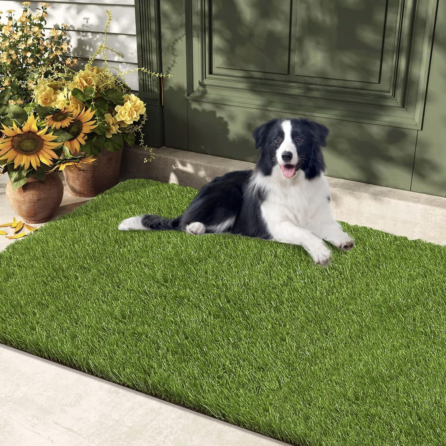 HEBE Artificial Grass Pad for Dogs Professional Potty Training,Reusable ...