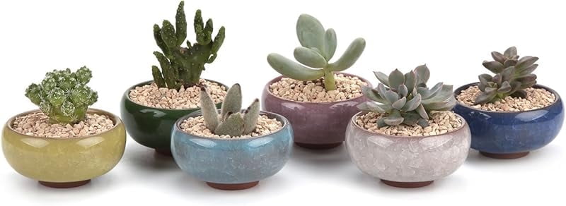 HEFENG 12-Pack Ceramic Succulent Pots with Drainage - 2.5 Inch Ice Crack Glaze Planters for ...