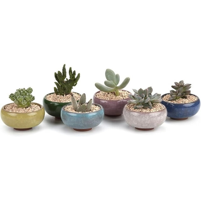 HEFENG 12-Pack Ceramic Succulent Pots with Drainage - 2.5 Inch Ice Crack Glaze Planters for ...
