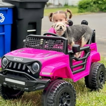 Bluey 6 Volt Ride on Car with Lights and Sounds, 6V Battery Powered Toy ...