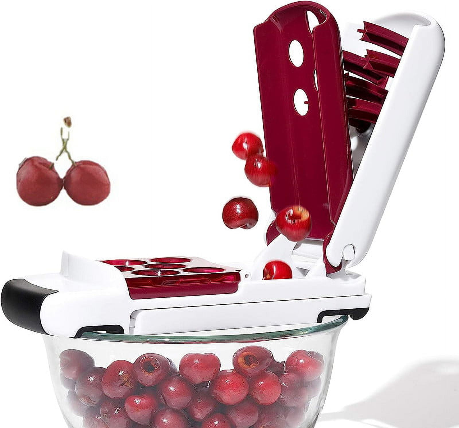 HEJULIK Fruit Pitcher Quick Release Multi Cherry Pitcher Cherry ...