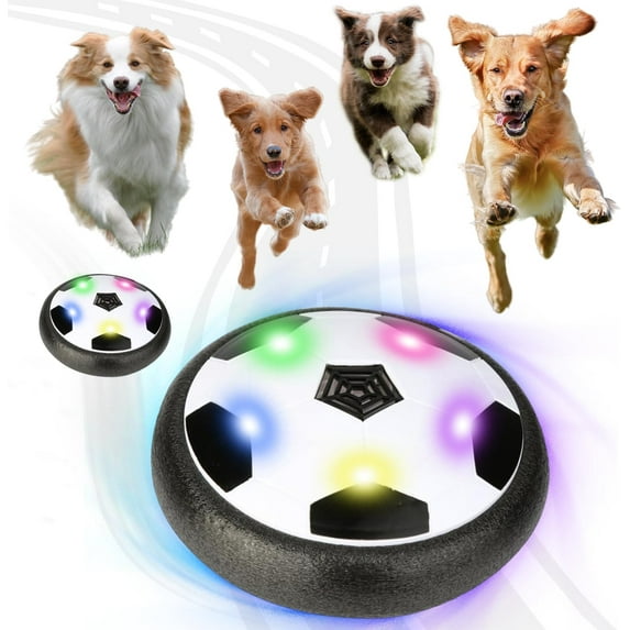 HEJULIK LED Light Active Gliding Disc, Interactive Motion Activated Dog ...