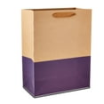 Hello Hobby X-Large Kraft Paper Bags with Color Block, 10" x 13", 10 ...