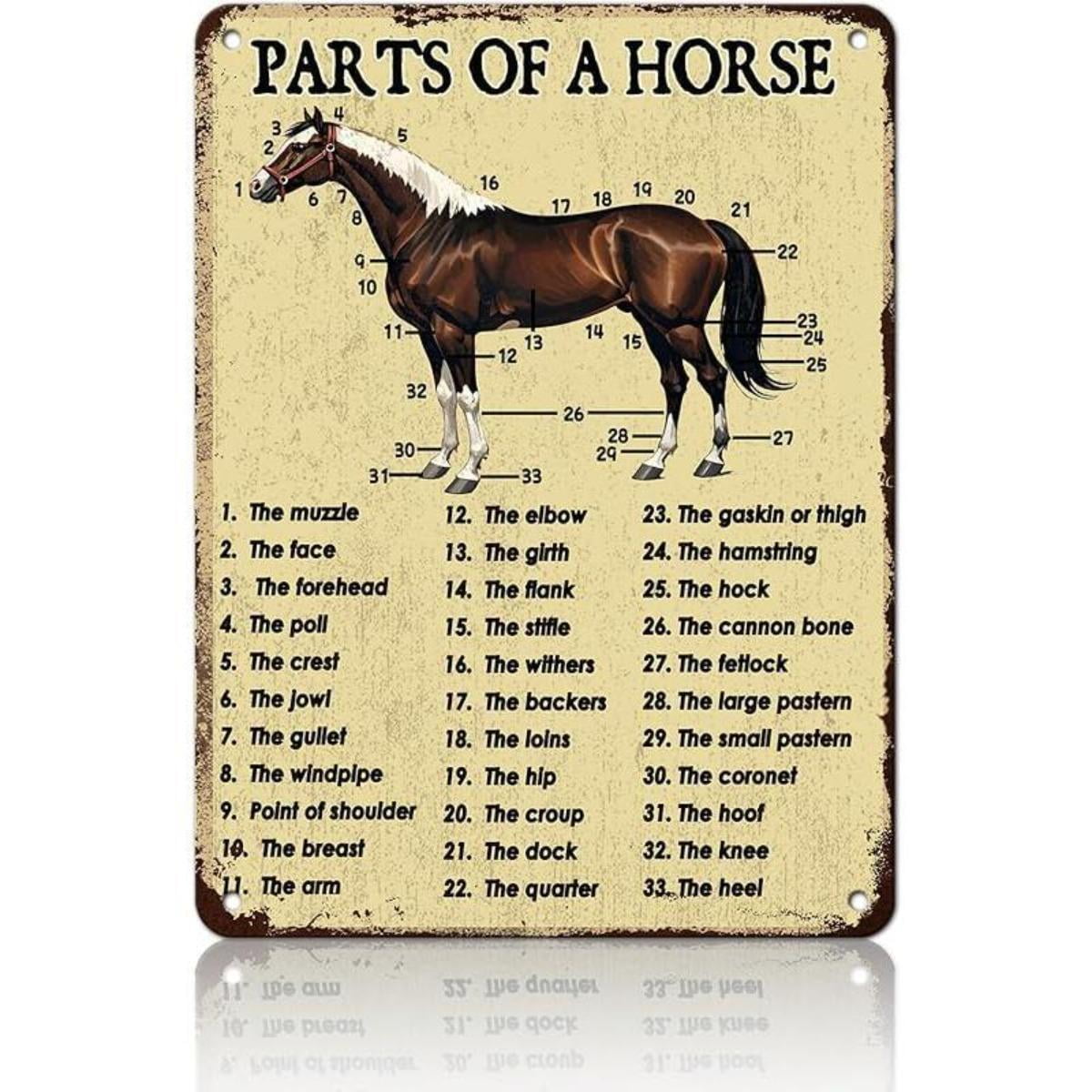 HELLOYOUNG Funny Donkey Sign Plaque Metal Poster 12x8 Inch Poster Home ...