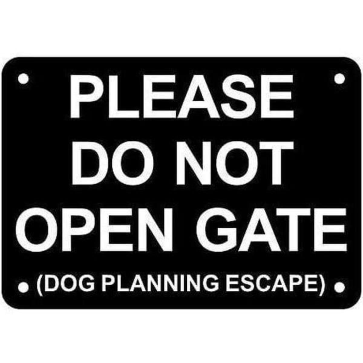 HELLOYOUNG Metal Sign Vintage 8x12 Inch Wall Decor with Funny "Dog ...