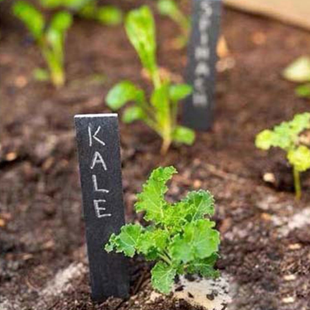 HEMOTON 1 Set Gardens Tags Garden Potted Plants Signs Yard Signs for ...