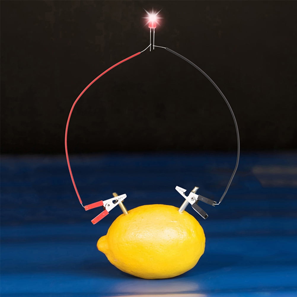 HEMOTON 1 Set Science Project Fruit For Students, Diy Fruit Battery ...