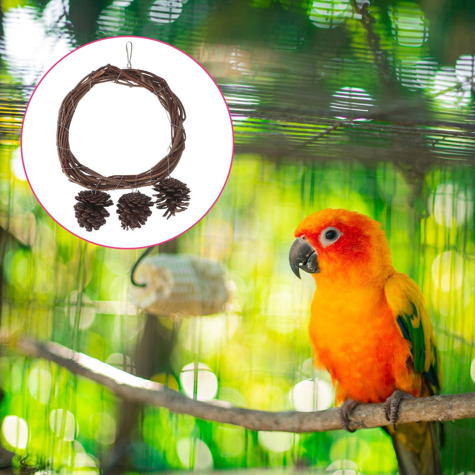 HEMOTON 1 Set of Bird Hanging Swing Bird Ring Woven Stand Parrot Ring ...