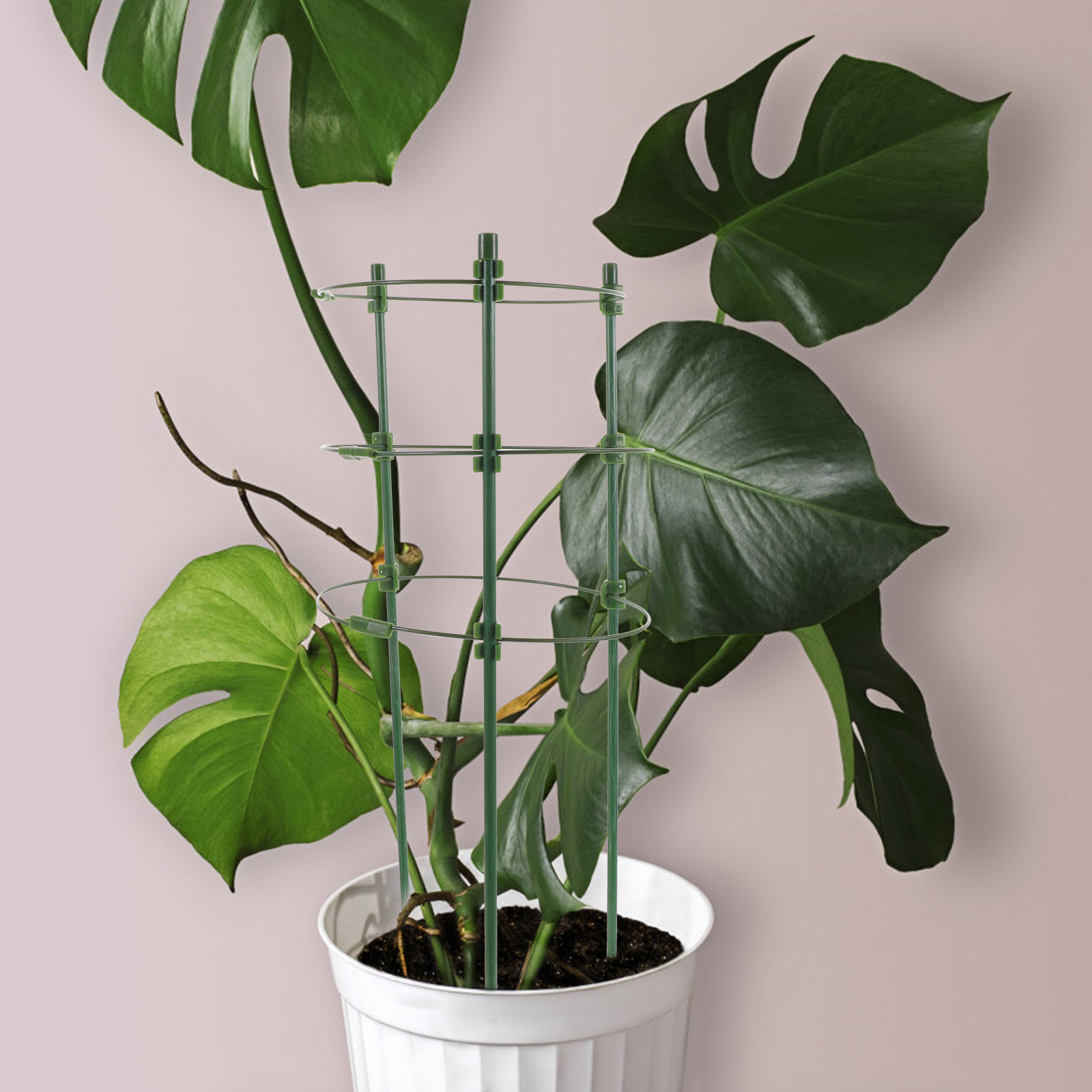 HEMOTON 1 Set of Flower Plant Stands Flower Climbing Racks Plants ...