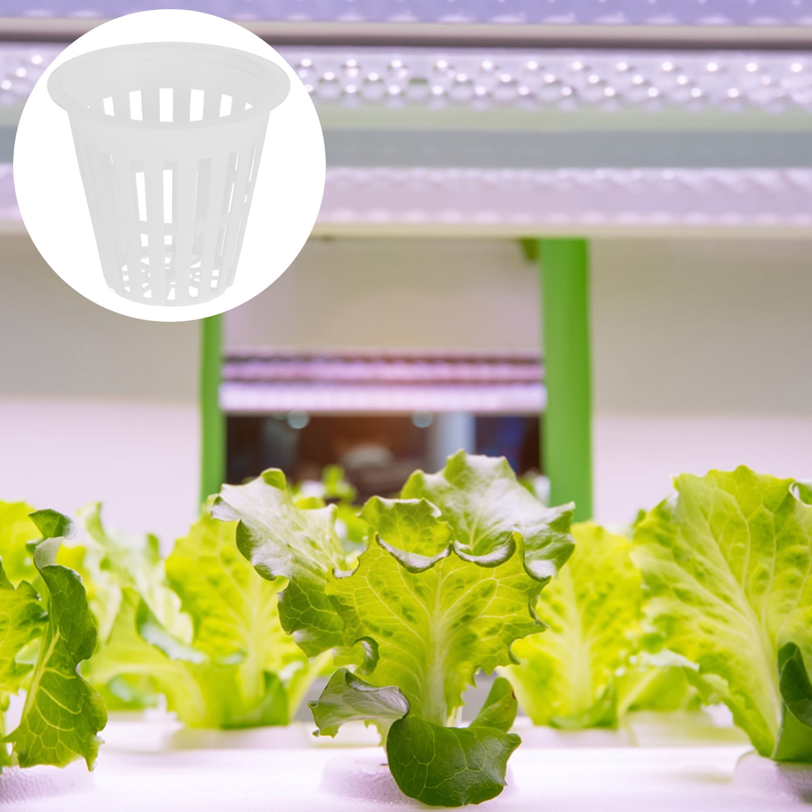 HEMOTON 10 Pcs Plant Grow Cultivation Planting Basket Hydroponics Net ...