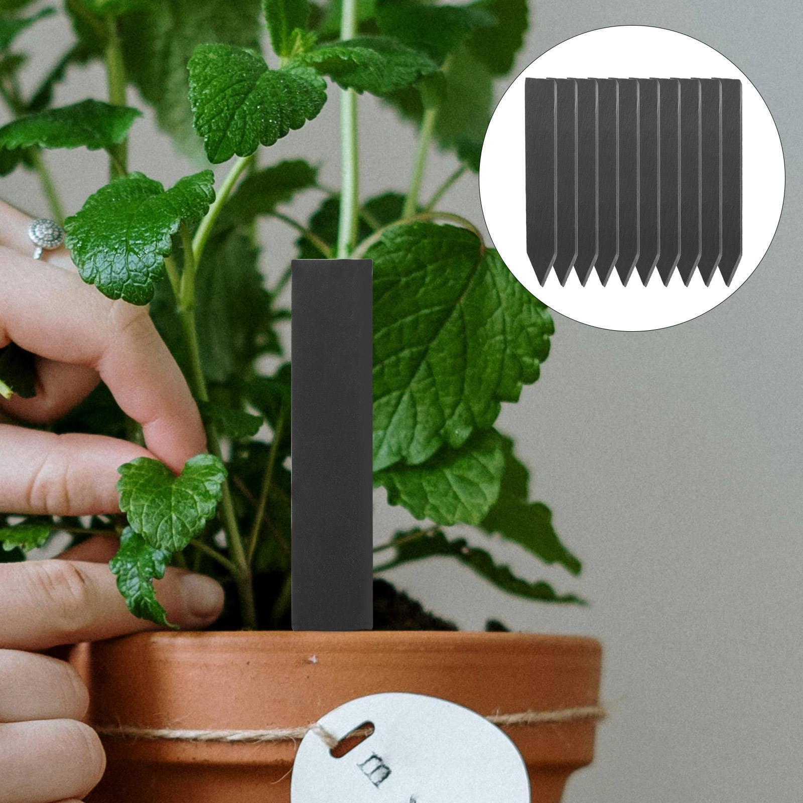 HEMOTON 10 Pcs Plant Label Identification Decorative Plants - Walmart.com