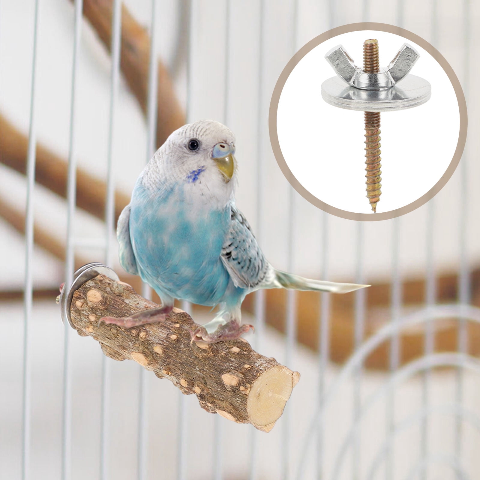 HEMOTON 10 Sets Bird Cage Fix Tool Garden Perch Screws and Nuts Silver ...