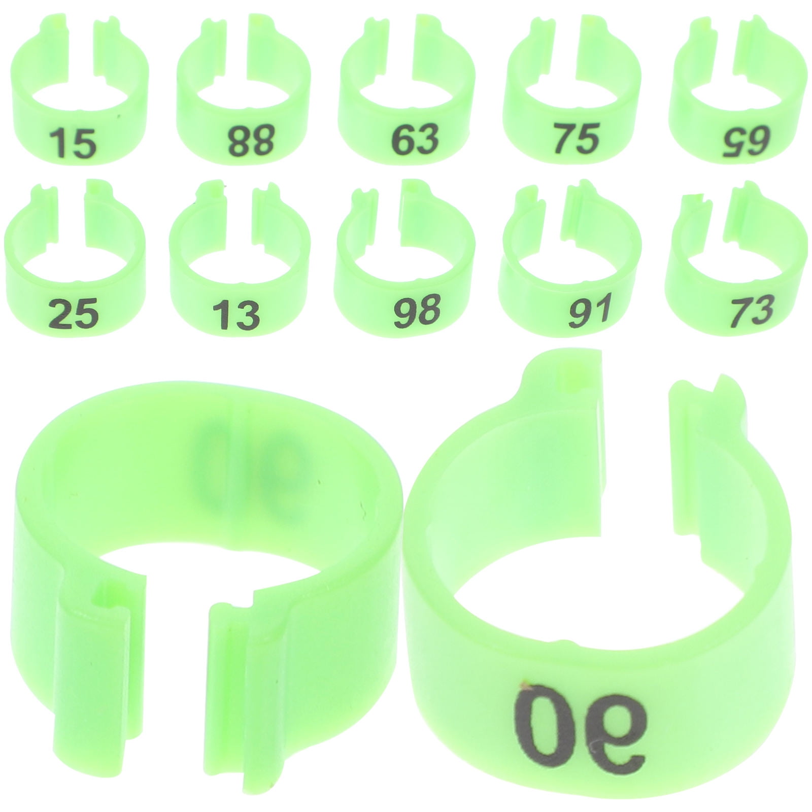 HEMOTON 100 Pcs Bands Indoor Bird Distinguish Supplies Hen Leg ...