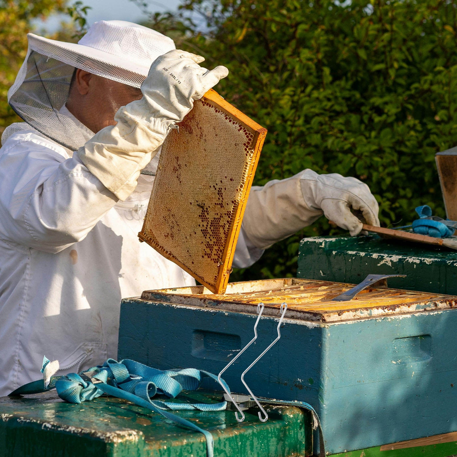 HEMOTON 10pcs Beehive Connection Accessories Portable Beehive ...