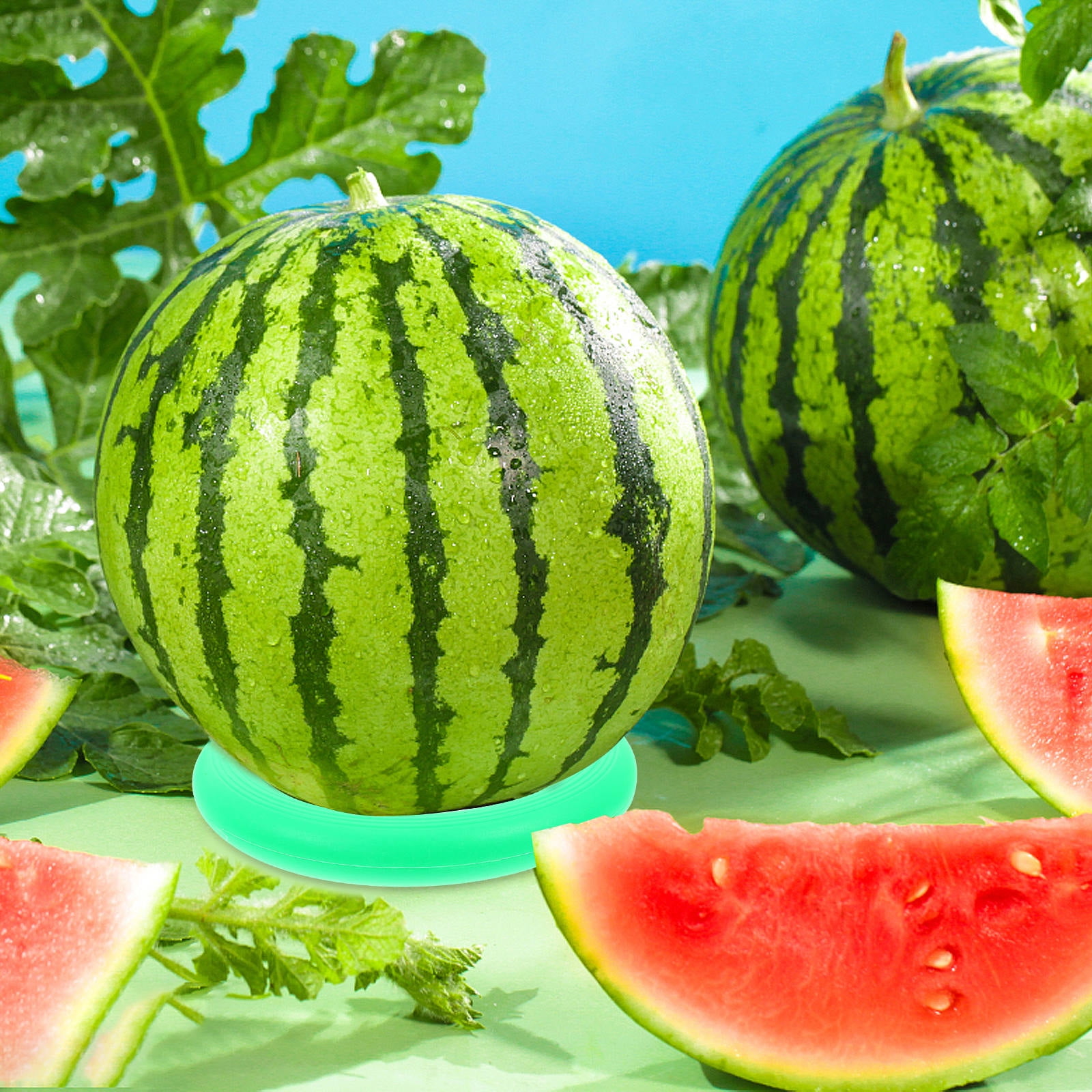 HEMOTON 10pcs Watermelon Holder Reusable Plastic Ring Fruit Melon ...