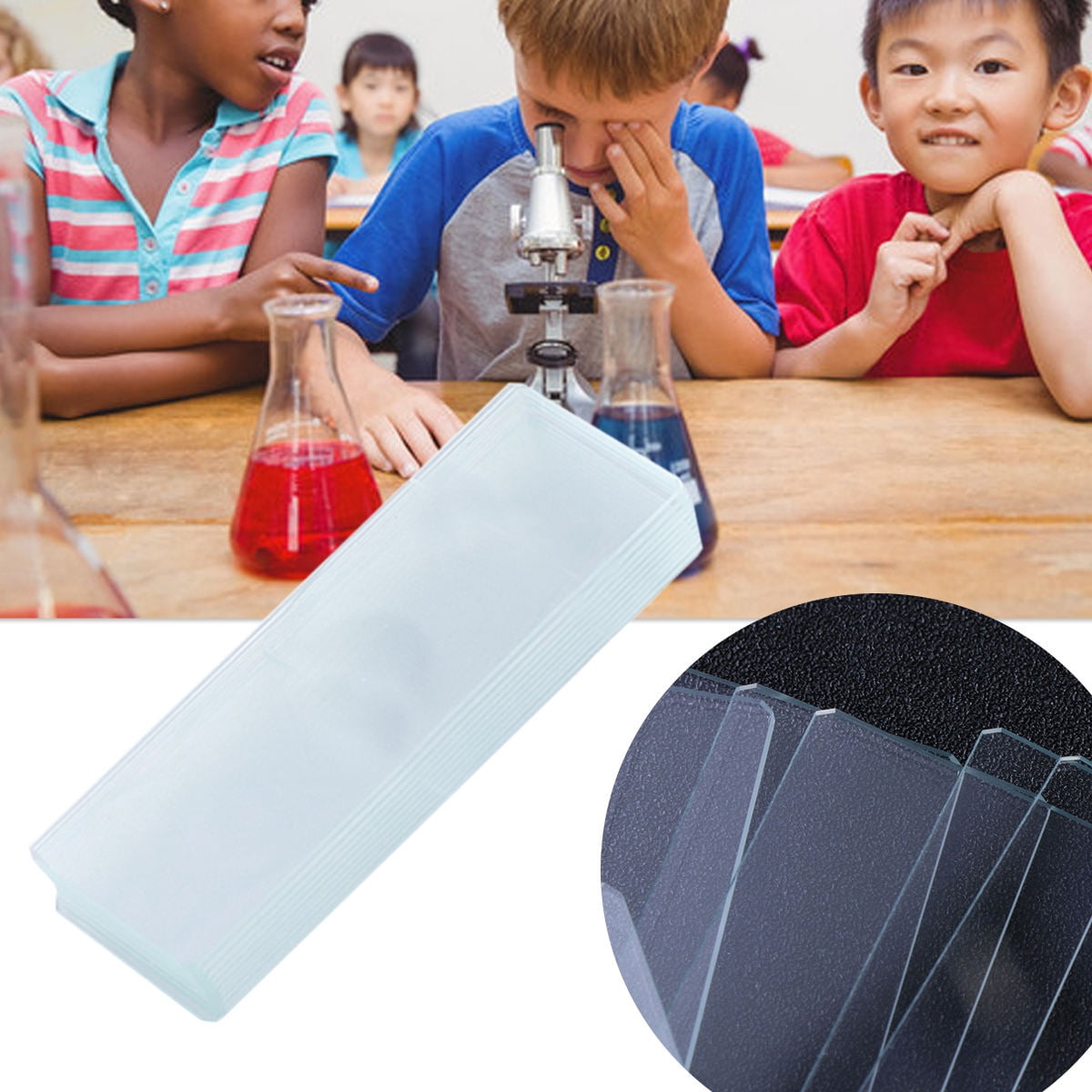 HEMOTON 12 PCS Small Microscope Slides with Specimens for Kids Glass ...