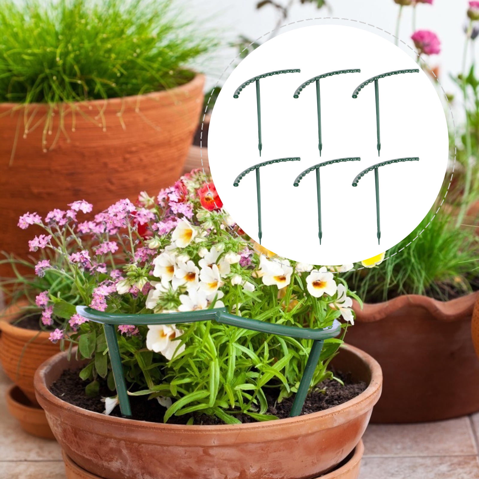 HEMOTON 12 Pcs Indoor Trellis Garden Trellises Plant Climbing Fixture ...